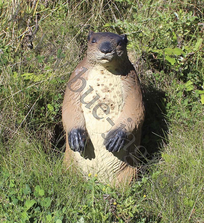 Murmeldyr - 3D dyr og reperation - Andersen's Jagt-Grej